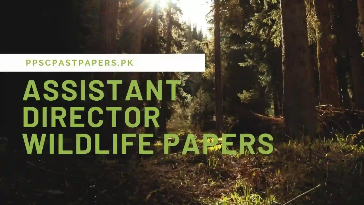 Sub Inspector past Papers BS-14 Service Quota - ppscpastpapers.pk